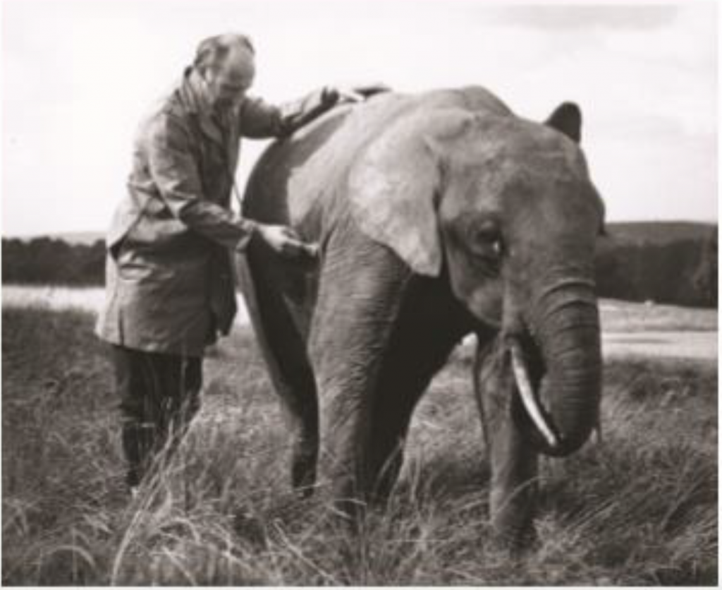 Pioneers in Practice: the Vets of Garston House - Frome Town Council