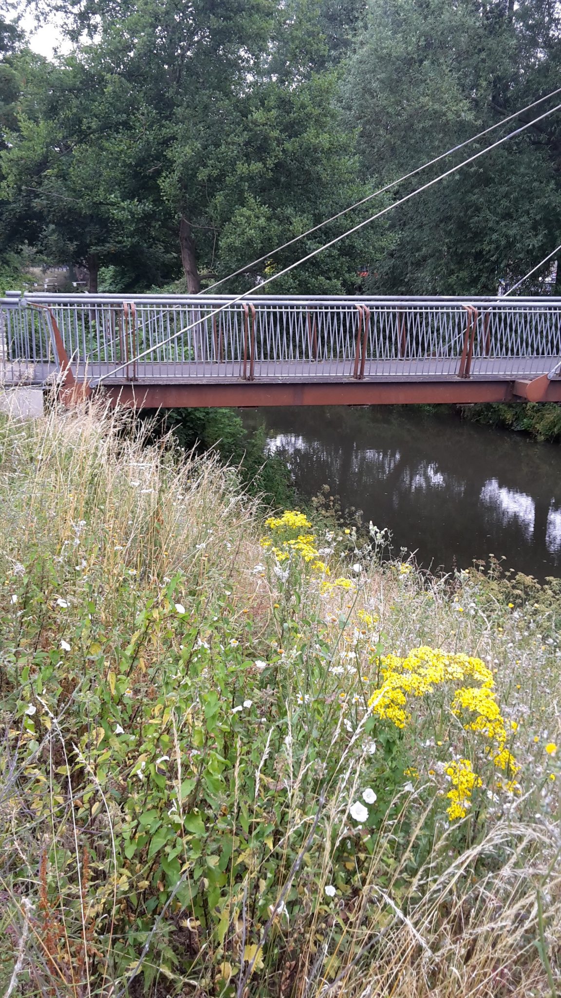 Work to reduce flood risks in Frome - Frome Town Council