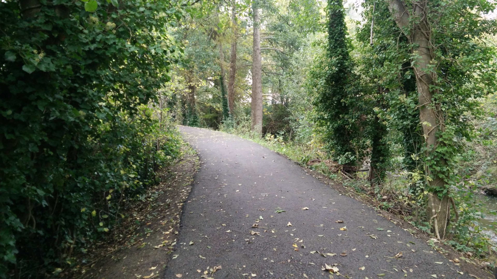 Council (20 Nov 2019) - Frome Town Council