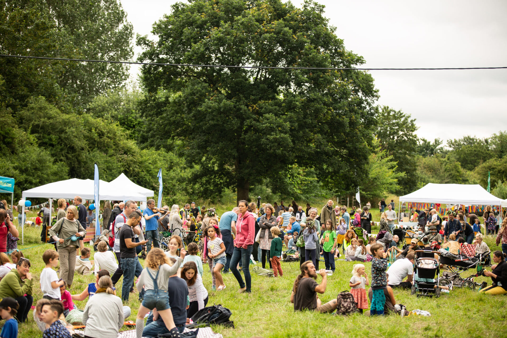 An afternoon of fun at Picnic in the Meadow - Frome Town Council