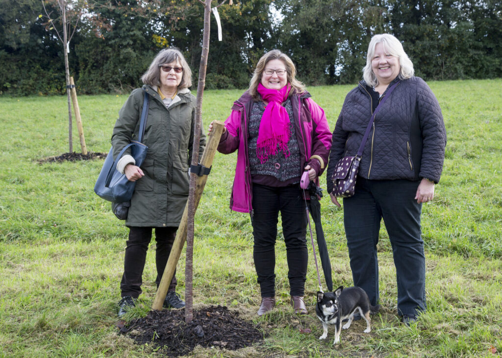 Celebrating Frome’s community with commemorative blossom trees - Frome ...