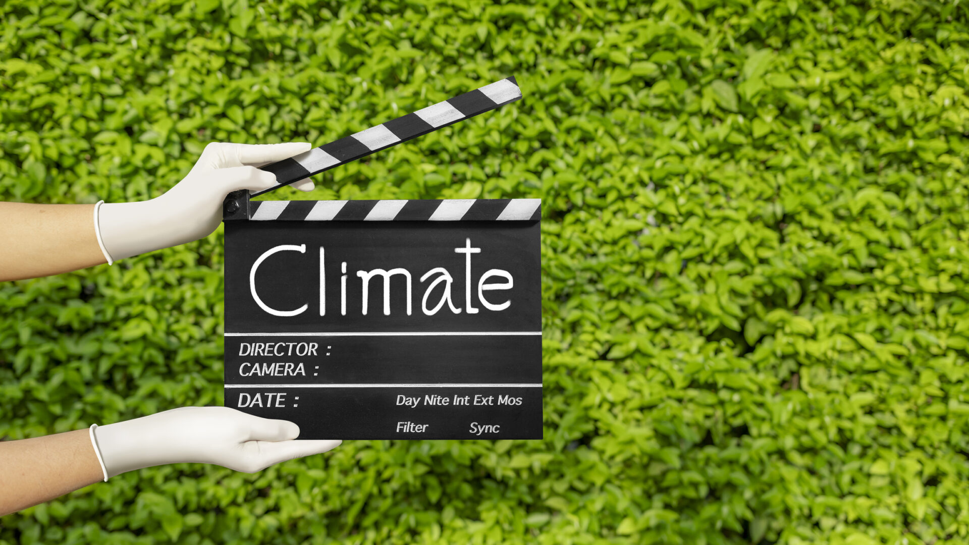 Book now for Frome’s first Climate Film Festival - Frome Town Council