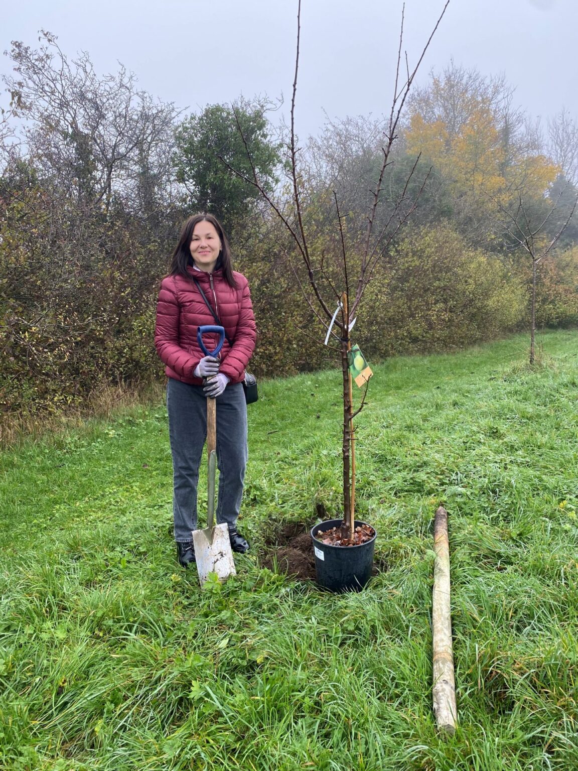 Tree-ific planting from Frome community - Frome Town Council