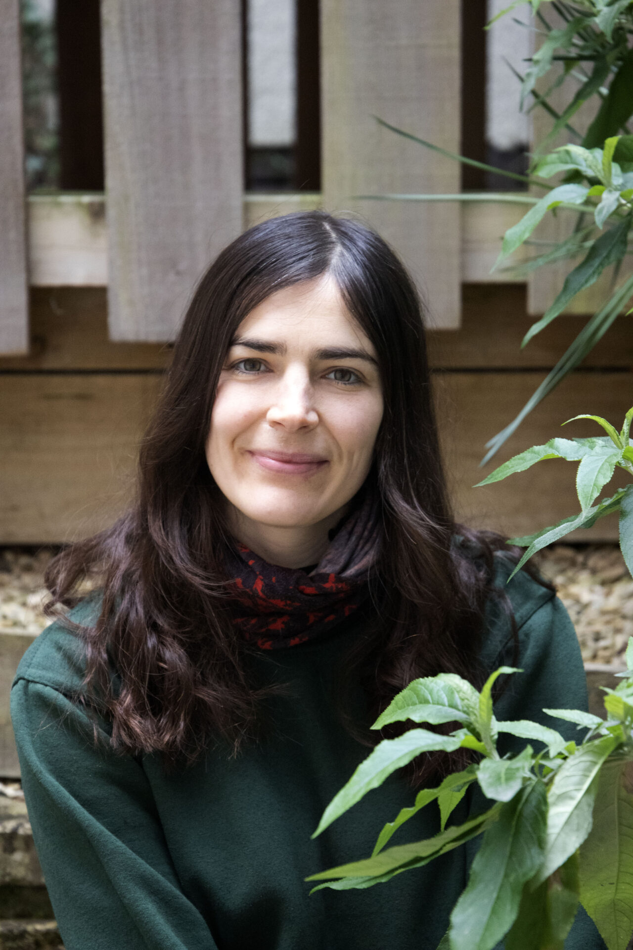 Asia Pryjda - Frome Town Council