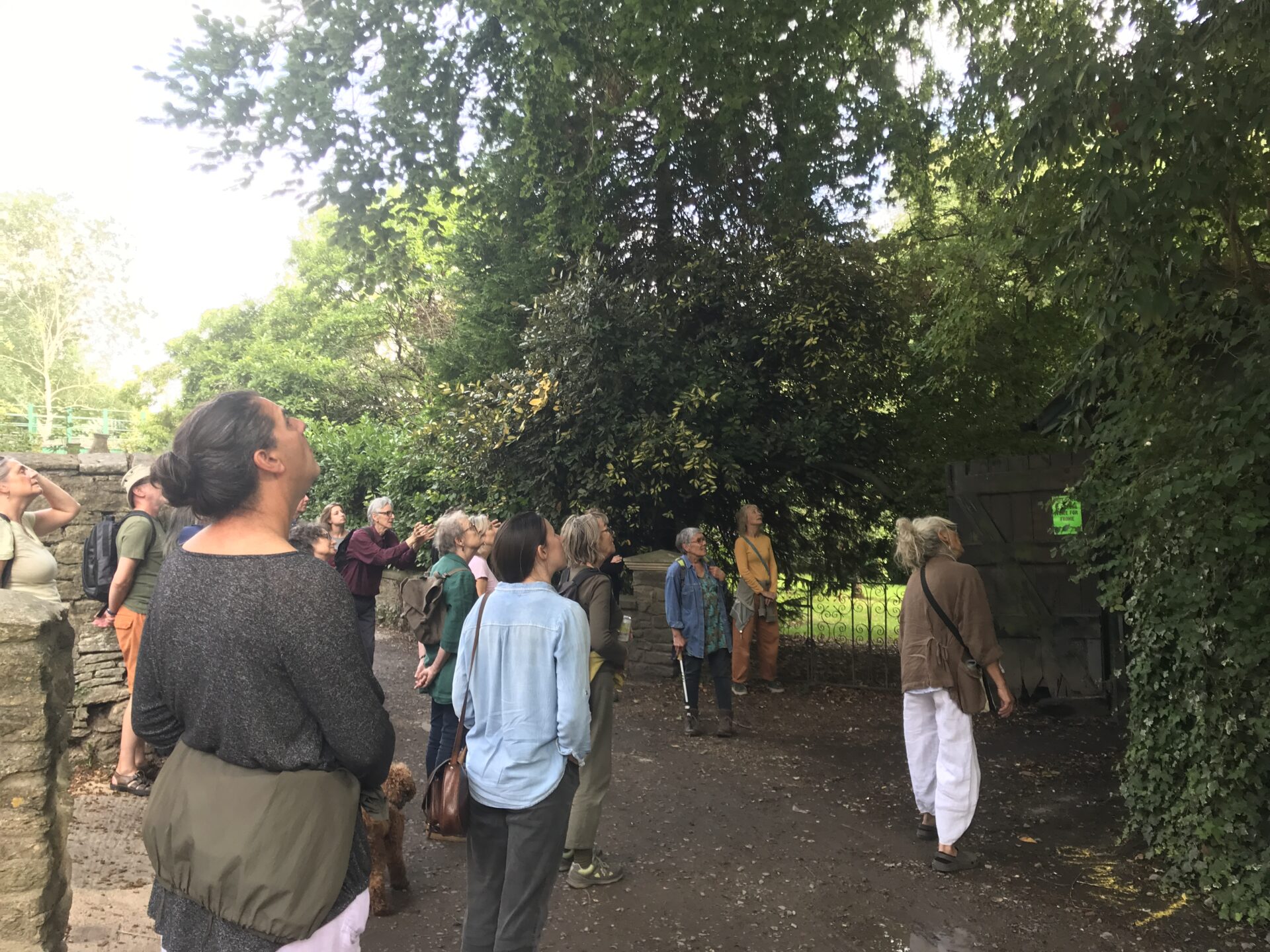 Making a difference at Great Big Green Week - Frome Town Council